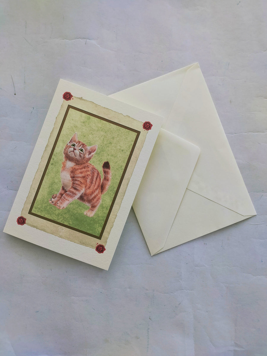 Cat card and envelope – Peacock Paper Ltd